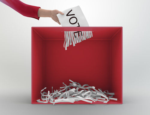 One Person, One Vote System | Armstrong Economics