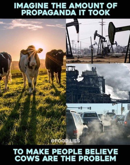 Cows Are The Problem | Armstrong Economics