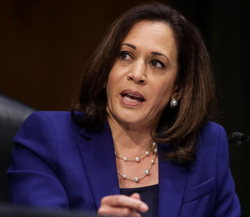 Voters OK With Kamala’s Vague Policies | Armstrong Economics